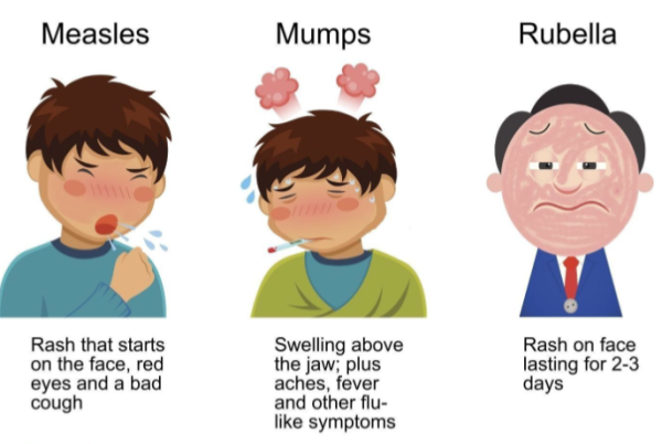 Vaccine Preventable Diseases – Combination Vaccines - MPS Young ...